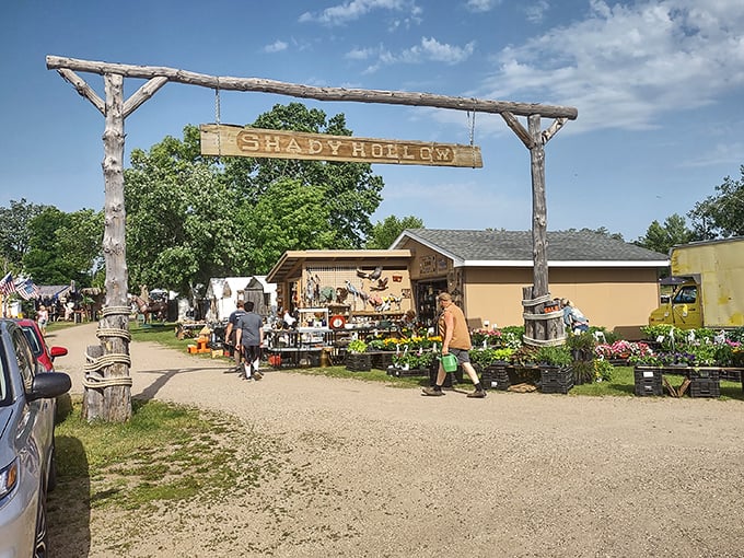 Treasure hunting paradise! Under the shade of towering trees, vendors display everything from vintage furniture to collectible decoys, creating a bargain hunter's dream landscape.
