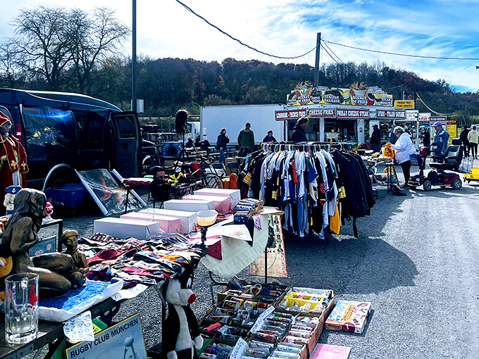 A treasure hunter's paradise unfolds at Rogers Flea Market, where yesterday's memories meet tomorrow's collectibles under the Ohio sky.-