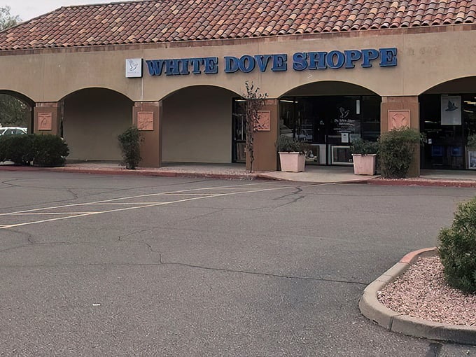 That classic Southwestern charm meets serious thrift shopping – your treasure hunt starts here. 