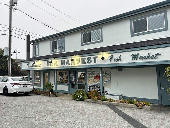 The unassuming exterior of Sea Harvest belies the seafood treasures within. Like finding a pearl in an oyster—unexpected and wonderful.