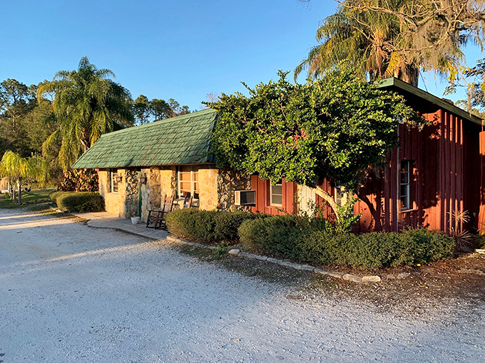 The unassuming exterior of Red Wing Restaurant hides culinary treasures within, like finding a Michelin star chef cooking in your grandma's kitchen.
