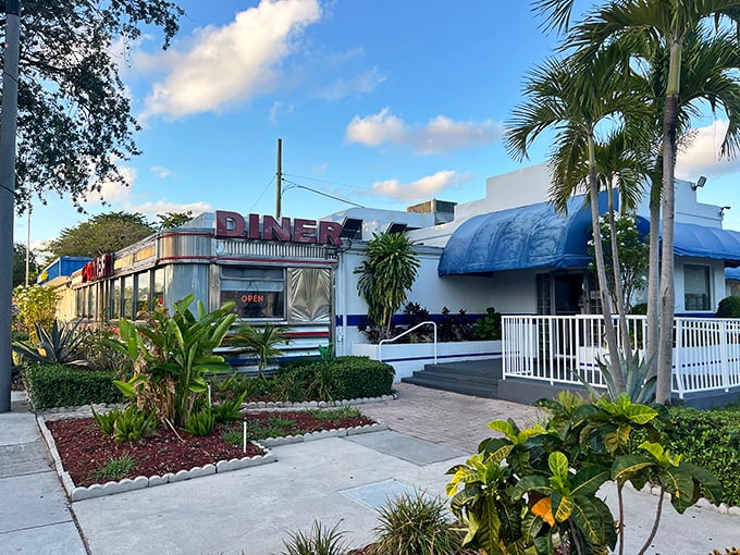 The classic diner silhouette against Florida's blue sky feels like a time machine with palm trees—nostalgic Americana meets tropical paradise.