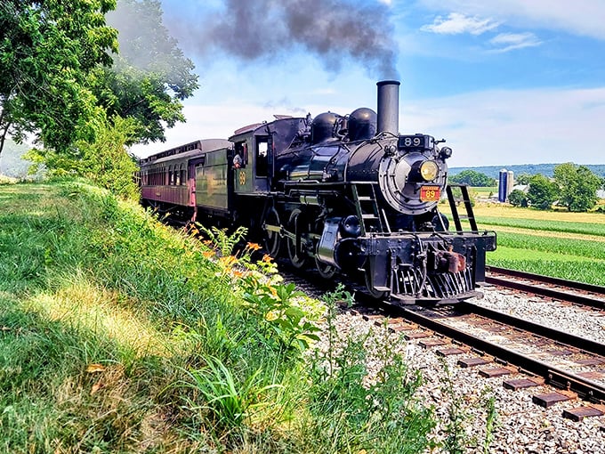 Steam and dreams collide as Engine No. 89 powers through Amish farmland, leaving a trail of nostalgia and coal smoke in its magnificent wake.