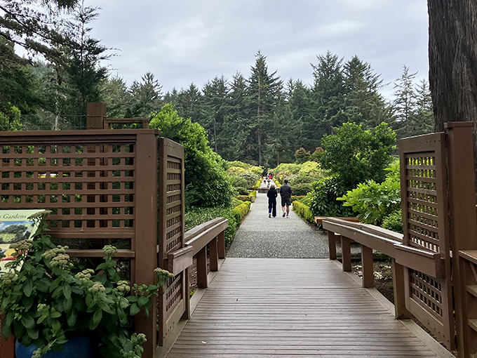 The welcoming entrance to Shore Acres State Park, where towering evergreens stand guard over one of Oregon's best-kept coastal secrets.