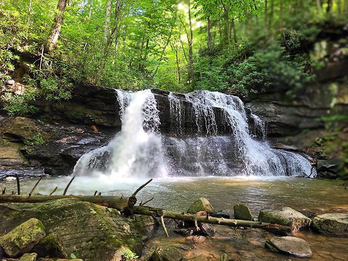 Nature's perfect staircase – this waterfall at Holly River State Park cascades down rock formations like it's auditioning for a role in National Geographic.
