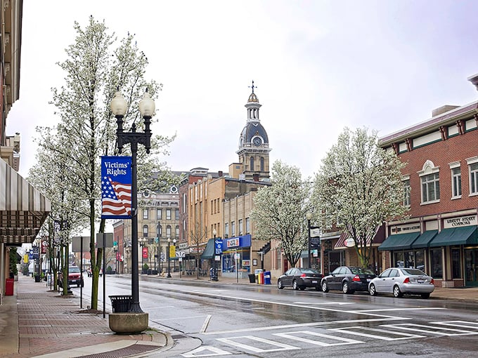 Downtown Wooster captures that perfect small-town magic – historic architecture, flowering trees, and a courthouse that looks like it belongs in a Norman Rockwell painting.