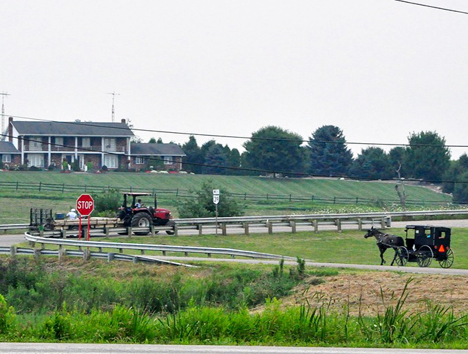 Modern meets traditional on this country road where an Amish buggy and tractor share the same stretch of asphalt – time travel without the flux capacitor.