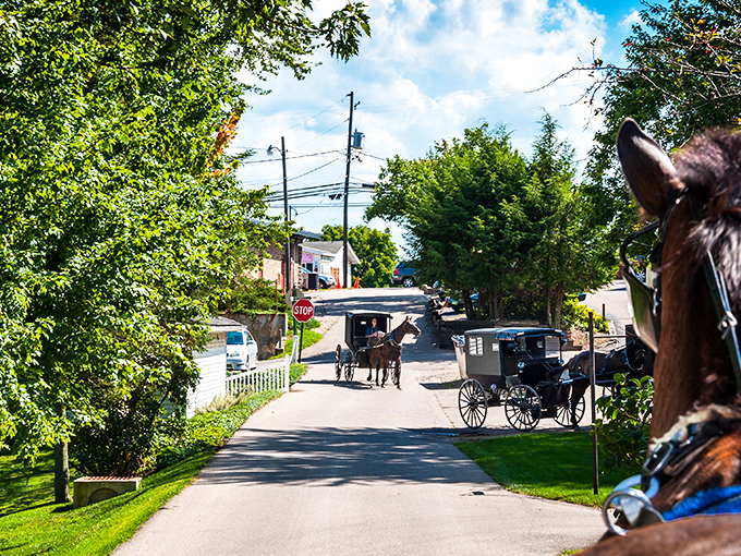 Modern meets traditional on this country road where an Amish buggy and tractor share the same stretch of asphalt – time travel without the flux capacitor.