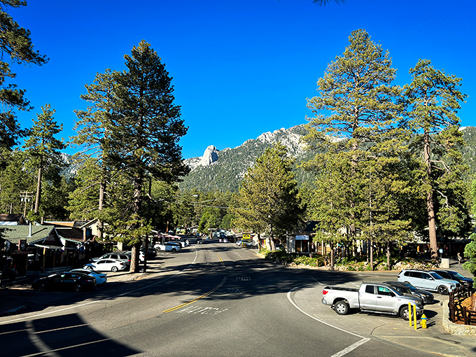 A bird's-eye view that makes you wonder if you've stumbled into a Bob Ross painting—pine-covered mountains embracing a tiny village like a verdant hug.