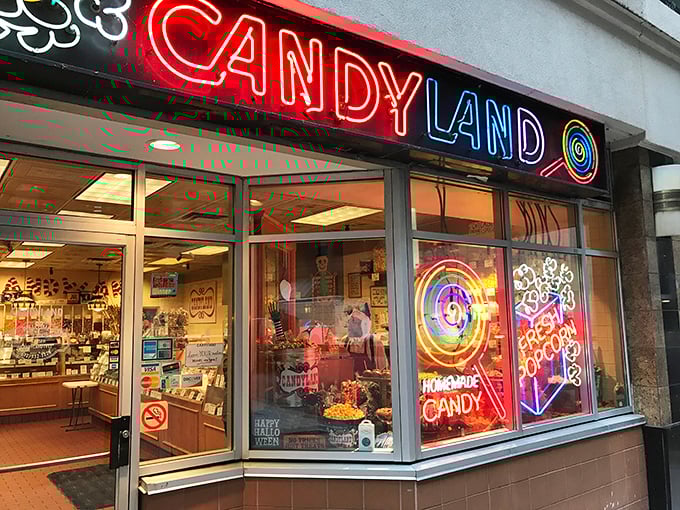 The iconic Candyland storefront beckons with its rainbow-hued sign – a portal to childhood that's been tempting Minneapolis sweet tooths since 1932.