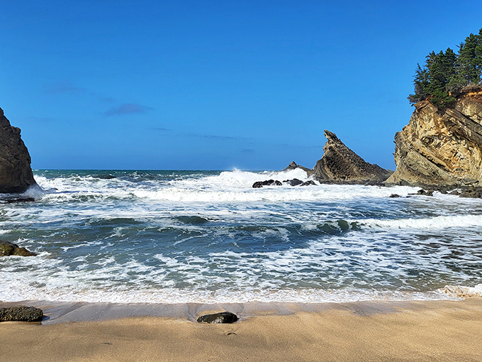 The welcoming entrance to Shore Acres State Park, where towering evergreens stand guard over one of Oregon's best-kept coastal secrets.
