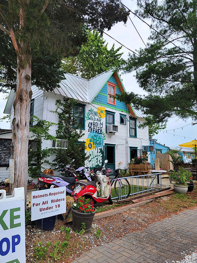 This whimsical beach cottage exterior promises the kind of breakfast adventure your taste buds have been craving all along.