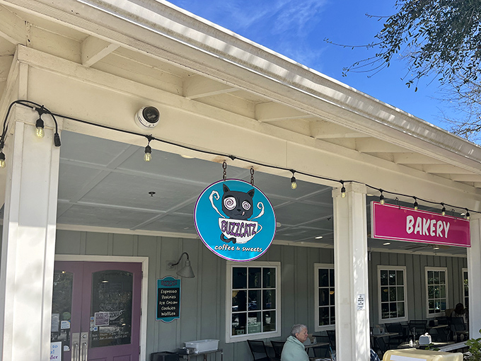 The unassuming exterior of BuzzCatz with its cheerful purple door promises culinary treasures within. Like finding a diamond in a beach town—this place delivers.