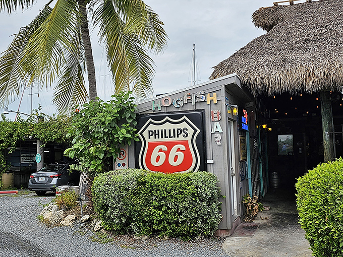 The iconic Phillips 66 sign and thatched roof welcome you to Hogfish Bar & Grill—proof that Florida's best treasures aren't always hiding in plain sight.