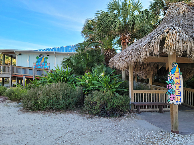 The Blue Parrot's beachfront charm beckons with its bright blue roof and thatched tiki hut—Florida architecture that practically whispers "your office emails can wait."