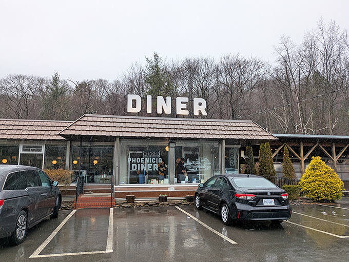 The Catskills' answer to Edward Hopper's "Nighthawks," but with better breakfast and zero existential dread. Those mountains have secrets, and this diner knows them all.