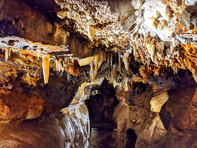 Nature's own chandelier factory has been hard at work for millennia, crafting these delicate stalactites that dangle like prehistoric icicles frozen in time.