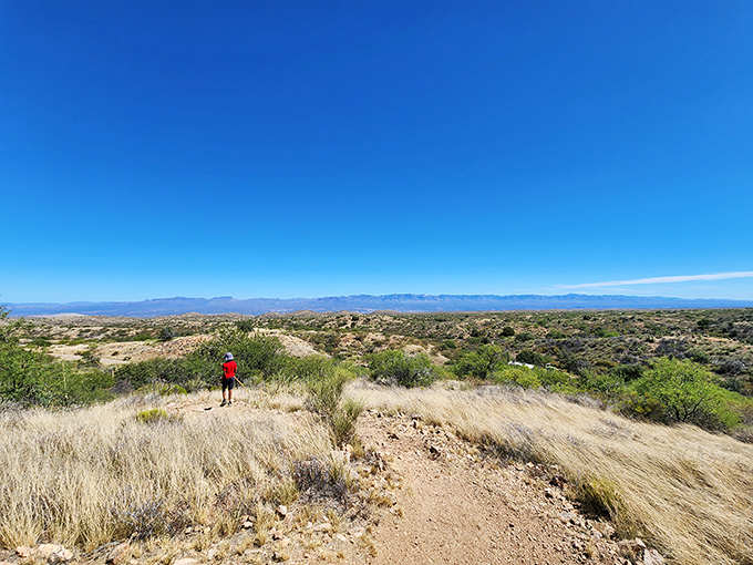 The winding trails of Oracle State Park beckon like nature's invitation card. Those mountains aren't just scenery—they're your next adventure waiting to happen.