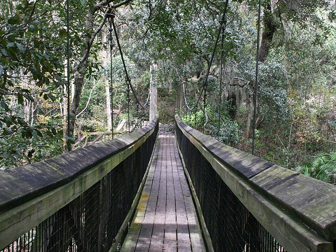 Suspension bridges aren't just for action movies—they're for everyday adventurers willing to leave the pavement behind at Ravine Gardens State Park.