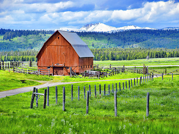 Country roads take me home—or in this case, to weathered barns and golden meadows stretching toward mountains that seem to whisper, "Slow down, city slicker."