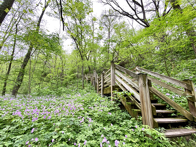 The stone bridge at White Pines stands like a miniature medieval fortress, where hiking trails and daydreams converge above Pine Creek's gentle flow.