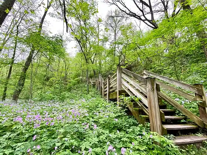 The stone bridge at White Pines stands like a miniature medieval fortress, where hiking trails and daydreams converge above Pine Creek's gentle flow.