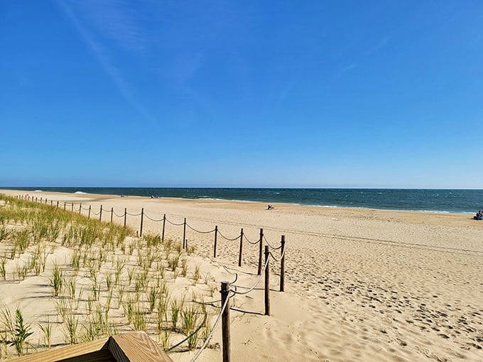 Golden sands meet azure waters at Fenwick Island State Park, where Mother Nature shows off her best work without charging extra for the view.
