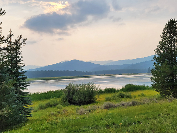 Country roads take me home—or in this case, to weathered barns and golden meadows stretching toward mountains that seem to whisper, "Slow down, city slicker."