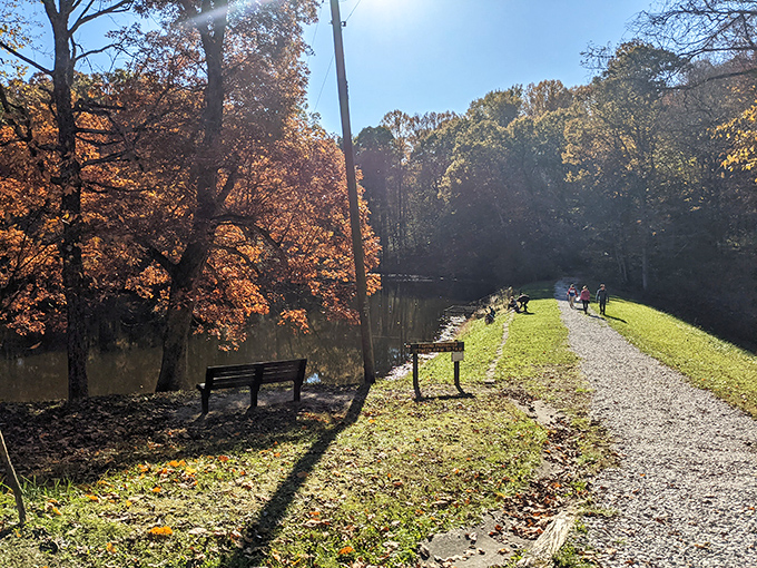 Prospect Point beckons like nature's own welcome mat. Those wooden steps lead to panoramic vistas that Instagram filters couldn't improve if they tried.