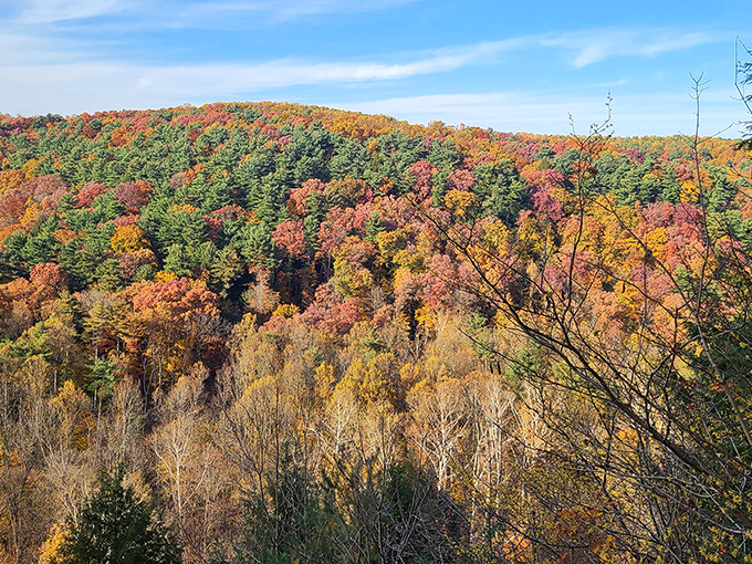 Fall's masterpiece on full display at Mohican State Park. Nature's paintbrush transforms these rolling hills into a breathtaking tapestry of crimson, gold, and emerald.