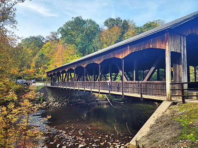 The historic covered bridge at Mohican isn't just a crossing – it's a time machine disguised as architecture, offering perfect photo ops year-round.