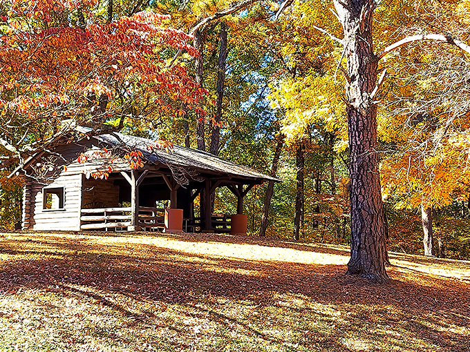 Rustic cabin perfection amidst autumn's grand finale – when Mother Nature decides to show off her entire color palette at once.