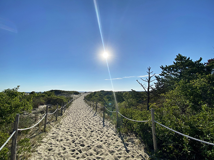 The path to paradise isn't paved—it's sandy. This sun-drenched trail through the dunes promises adventure with every footprint.