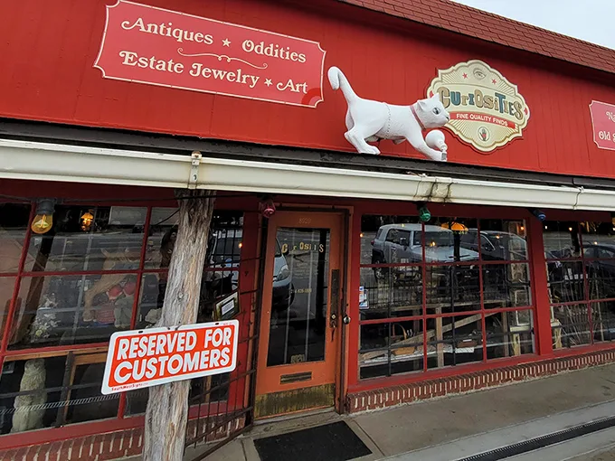 The flying cat above Curiosities' entrance isn't just whimsical decor—it's your first clue that normal retail rules don't apply inside this red wonderland.