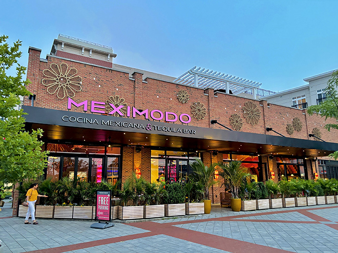 Meximodo's striking exterior combines brick warmth with modern flair. Those metal sunburst decorations aren't just for show—they're foreshadowing the flavor explosion waiting inside.