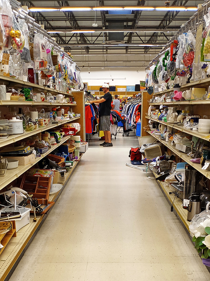 The housewares aisle – where someone else's "I don't need this anymore" becomes your "How did I live without this?"