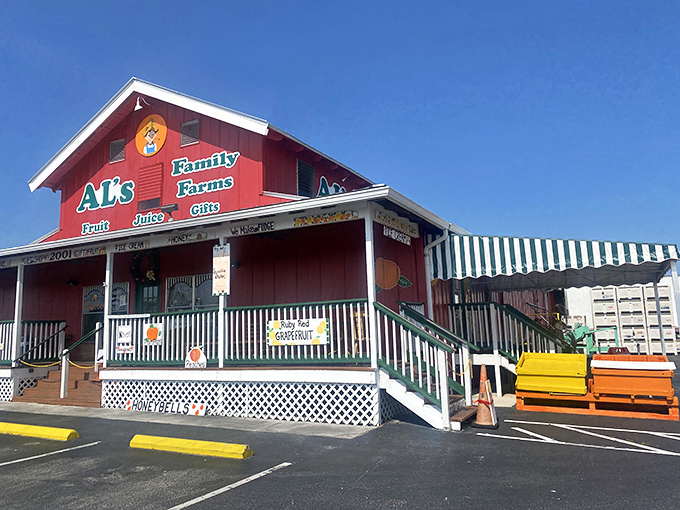 Al's Family Farms stands as a cheerful red beacon of agricultural authenticity in a state better known for its theme parks and beaches.