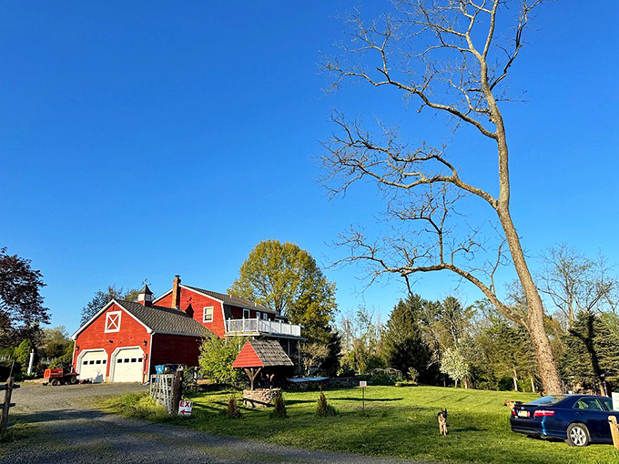 This classic red barn structure has been reimagined for modern times, while keeping its agricultural soul intact.