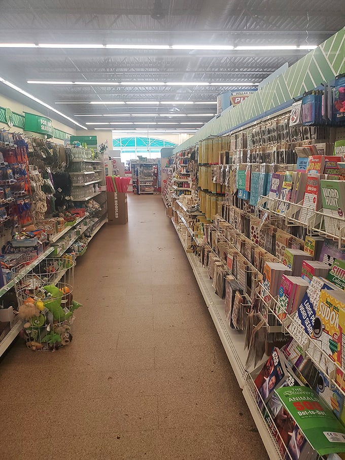 Books, puzzles, and brain teasers line this aisle – proof that expanding your mind doesn't have to shrink your bank account.