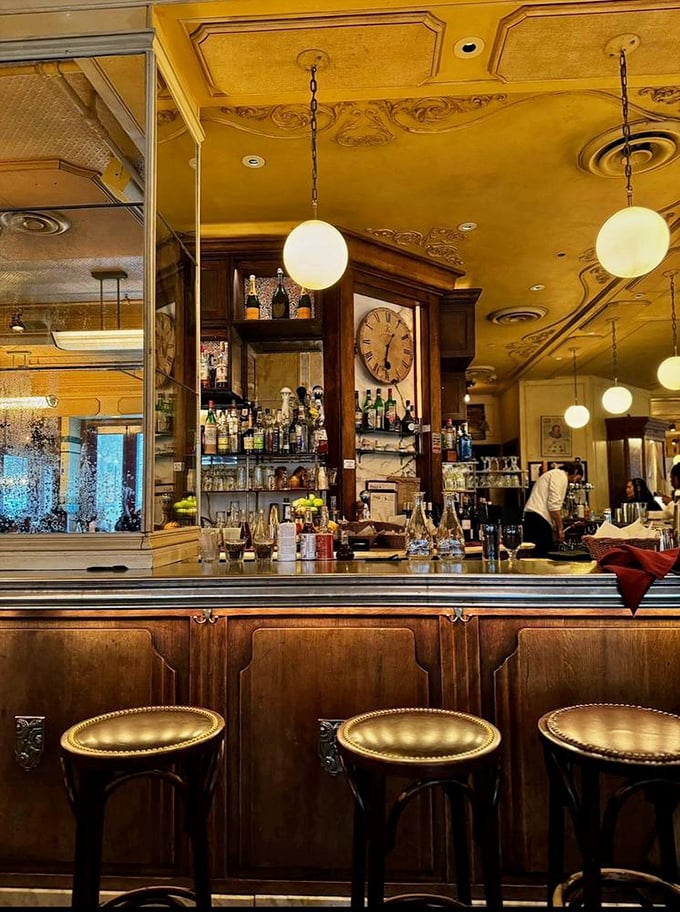 The bar at Parc glows like a vintage postcard come to life. Those stools have heard some stories, I guarantee it.