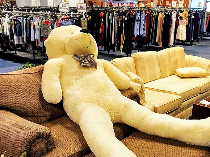 This oversized teddy bear has seen things. Now lounging on a secondhand sofa, he's either your next best friend or the star of a quirky indie film.