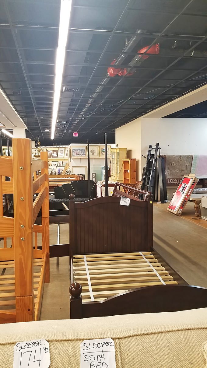 Bed frames and furniture arranged with the casual precision of someone who knows good bones when they see them.