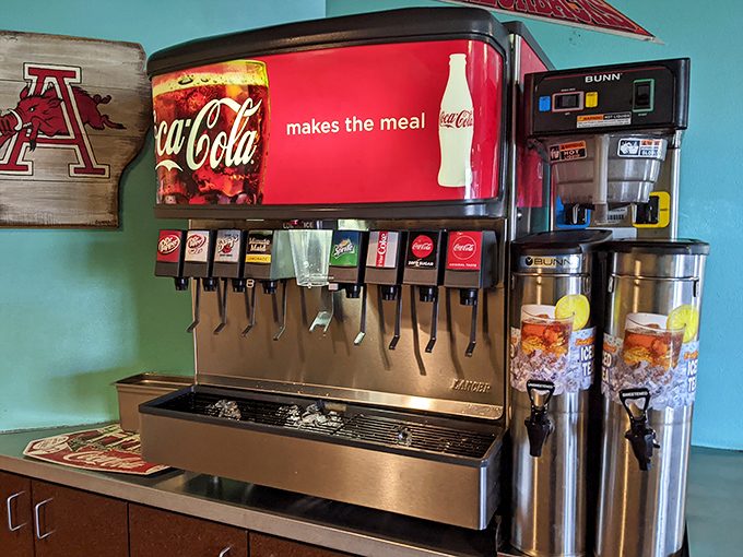 The soda fountain—that democratic institution where everyone from CEOs to college students stands equally in pursuit of carbonated happiness.
