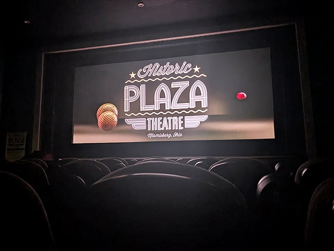 The Plaza's screen, framed by classic curtains, doesn't just show films—it presents them with the reverence modern multiplexes have long forgotten.