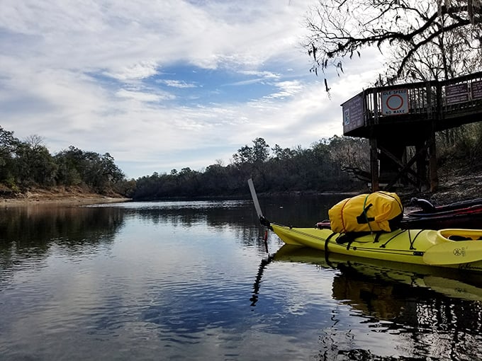 Adventure awaits on the Suwannee River, with kayaks ready to transport you into the wild Florida that tourism brochures barely hint at.