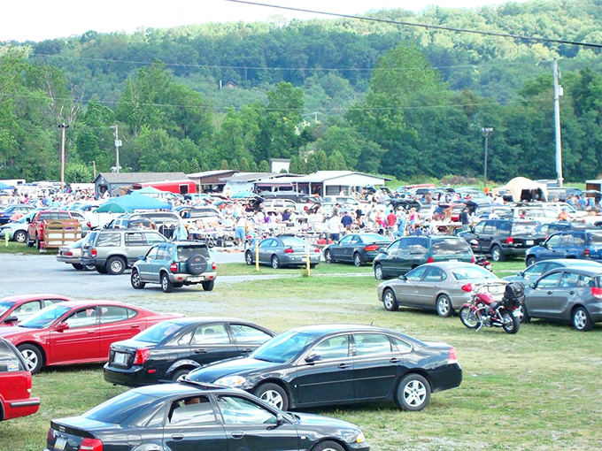 The parking lot tells the story—when cars stretch to the horizon, you know there are deals worth driving for inside.