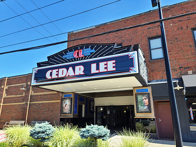 The Cedar Lee Theatre's vintage marquee promises cinematic escapes beyond mainstream fare. Where film buffs and casual viewers find common ground over uncommon stories.