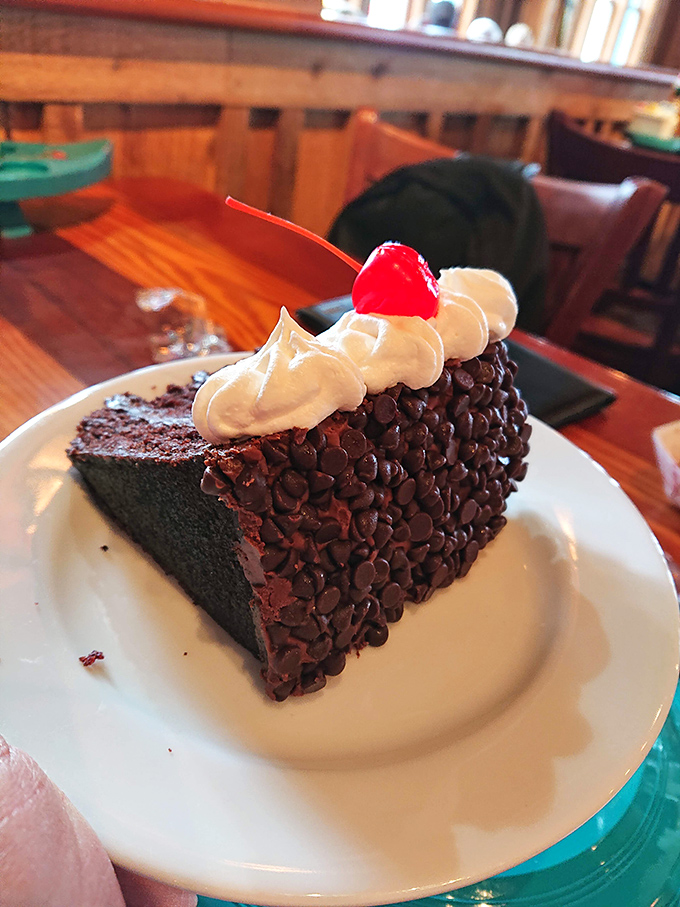 This chocolate cake isn't just dessert—it's the grand finale your taste buds have been waiting for, topped with a cherry that's basically wearing a tiny red hat.