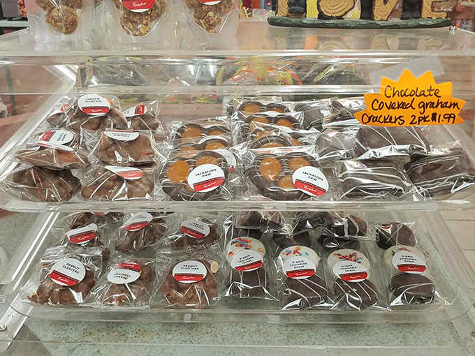 Chocolate-covered graham crackers – the sophisticated older siblings of s'mores who went to college and came back with a monocle and refined tastes.