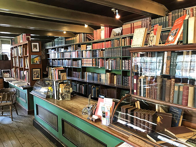 The green counter stands sentinel, a first stop on your literary expedition. Behind it, leather-bound treasures await the discerning collector